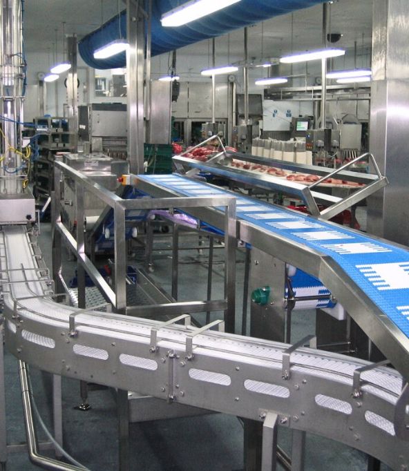 High-Quality Single-Line Conveyors for Efficient Material Handling