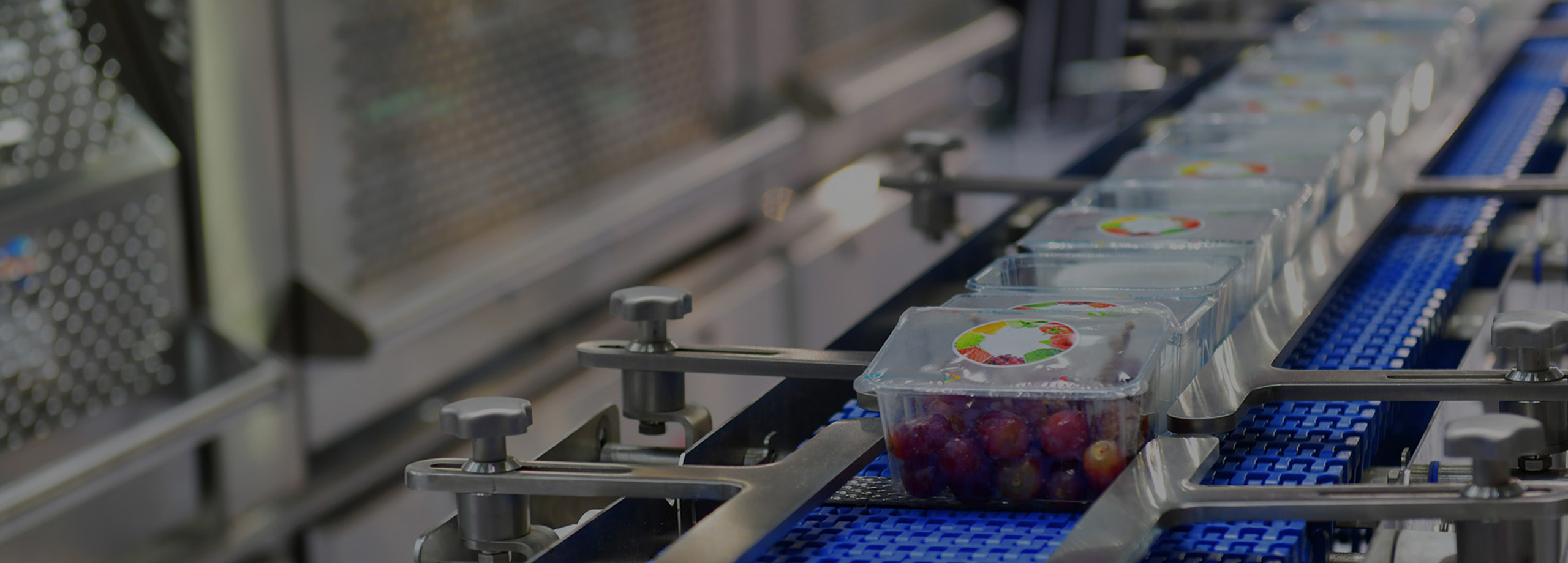 Shree Polymers - High-Quality Polymer Products for Diverse Applications